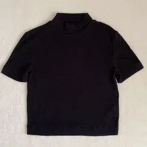 Babaton | Tops | Aritzia Babaton Mockneck Ribbed Cropped Short Sleeve ...
